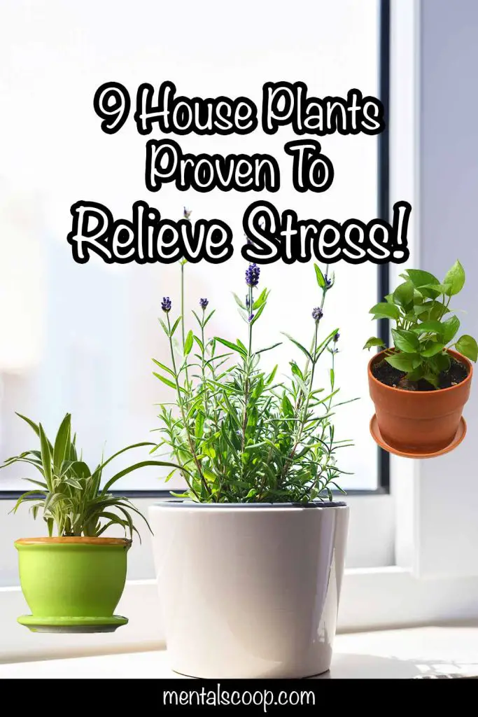 9 House Plants Proven To Relieve Stress! - Mental Scoop