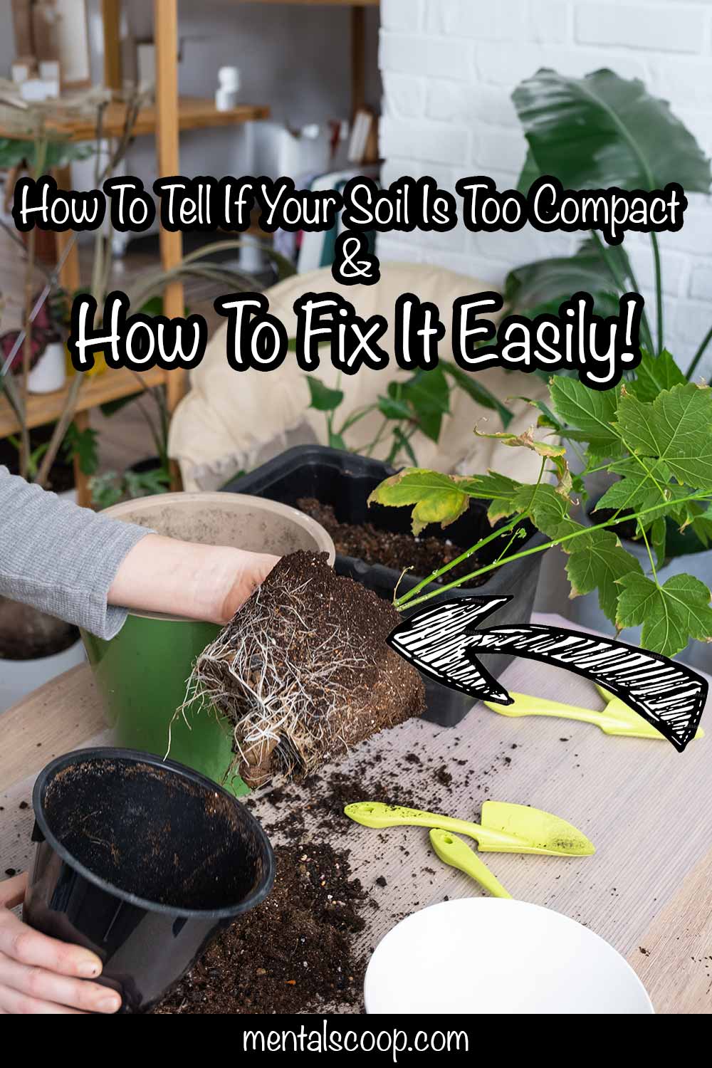 How To Tell If Your Soil Is Too Compact & How To Fix It Easily ...