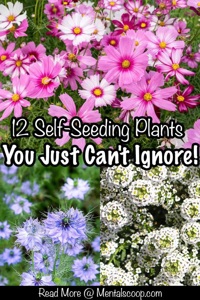 12 Self-Seeding Plants You Just Can't Ignore! - Mental Scoop