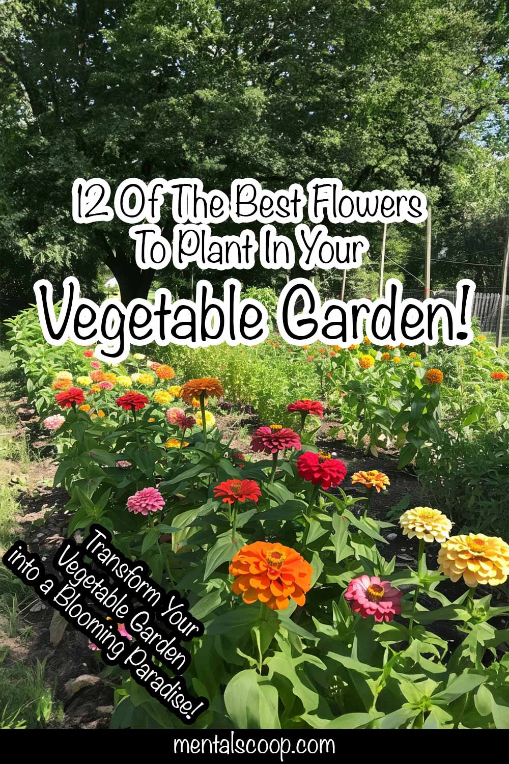 12-Of-The-Best-Flowers-To-Plant-In-Your-Vegetable-Garden - Mental Scoop