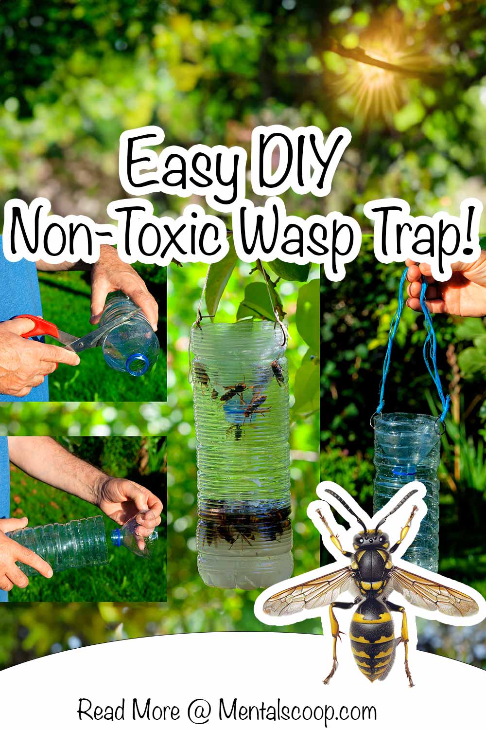 Easy DIY Non-Toxic Wasp Trap! - Mental Scoop
