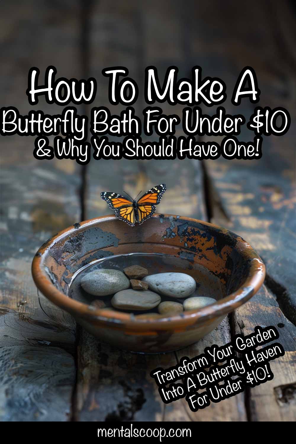 How To Make A Butterfly Bath For Under $10 & Why You Should Have One ...