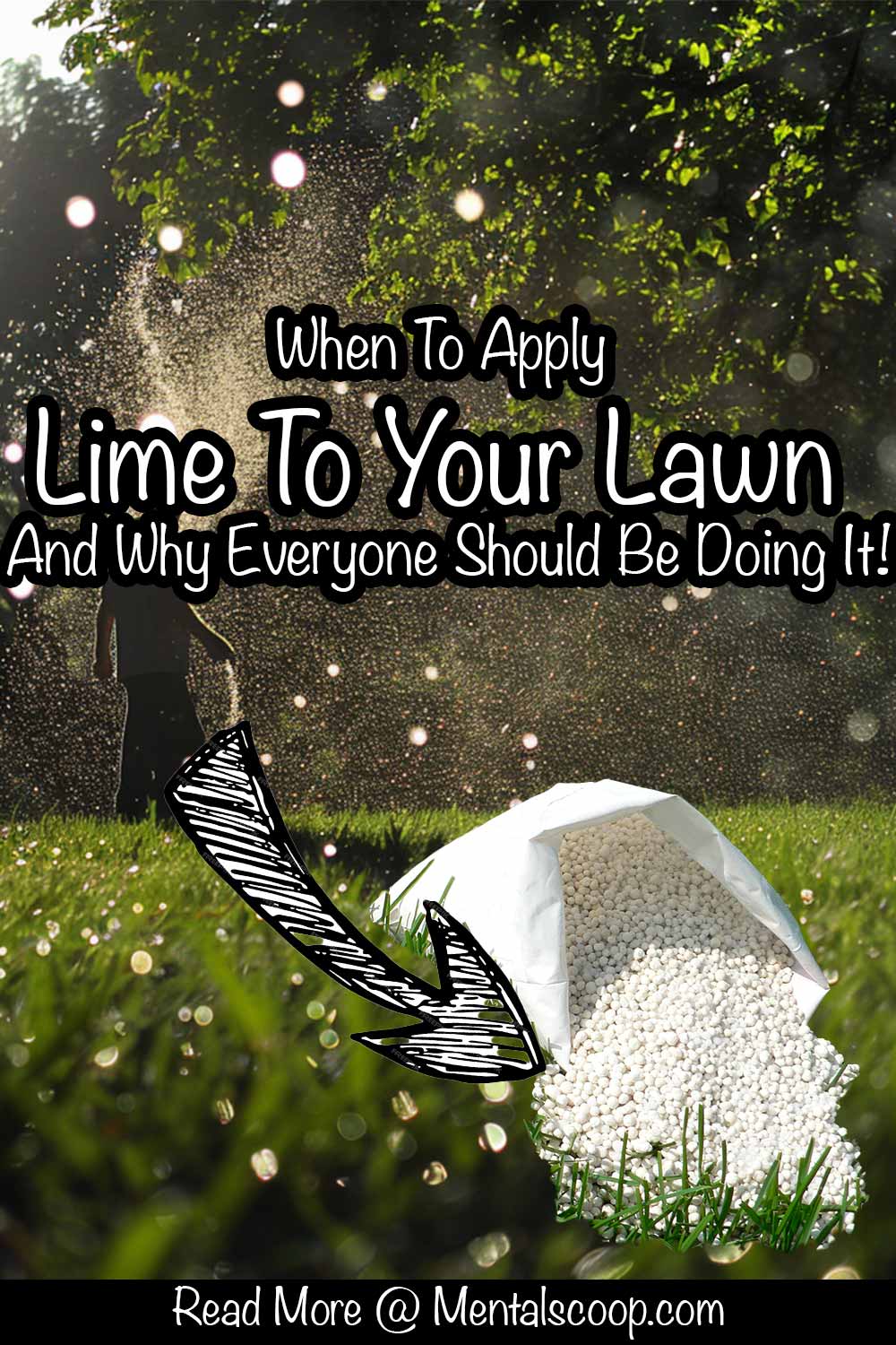 When To Apply Lime To Your Lawn And Why Everyone Should Be Doing It ...