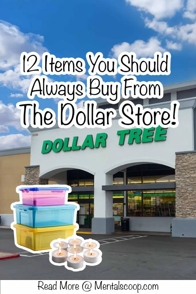 12 Items You Should Always Buy From The Dollar Store! - Mental Scoop