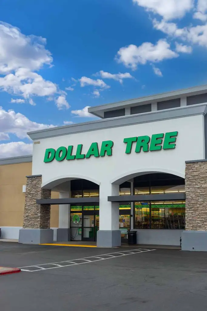 12 Items You Should Always Buy From The Dollar Store! - Mental Scoop