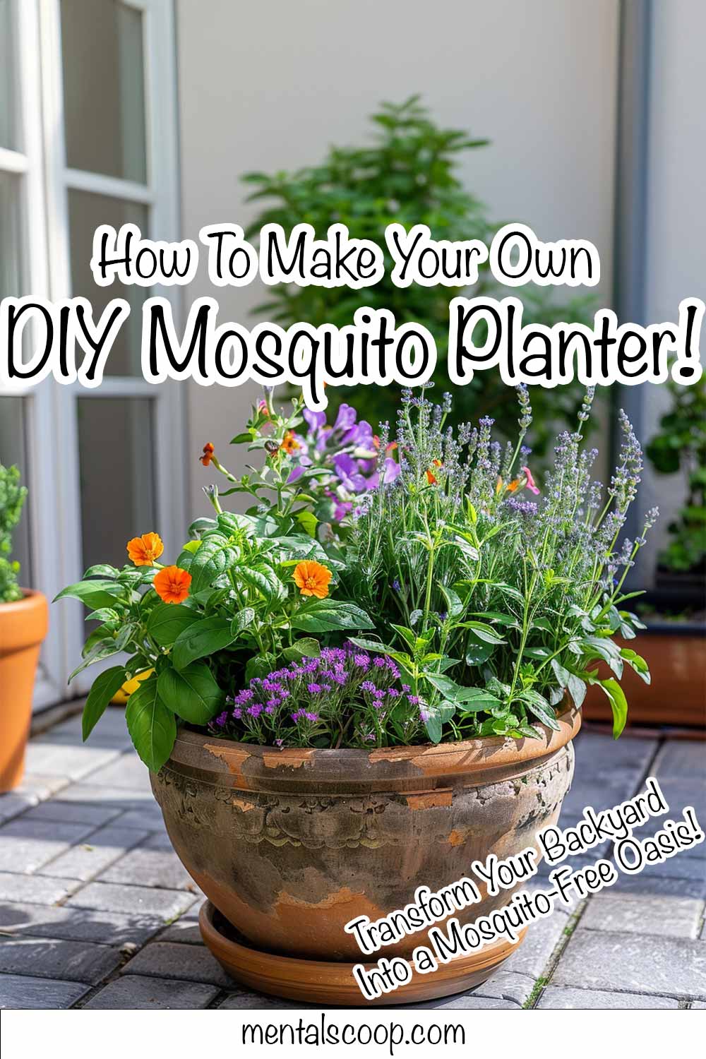 How To Make Your Own DIY Mosquito Planter! - Mental Scoop