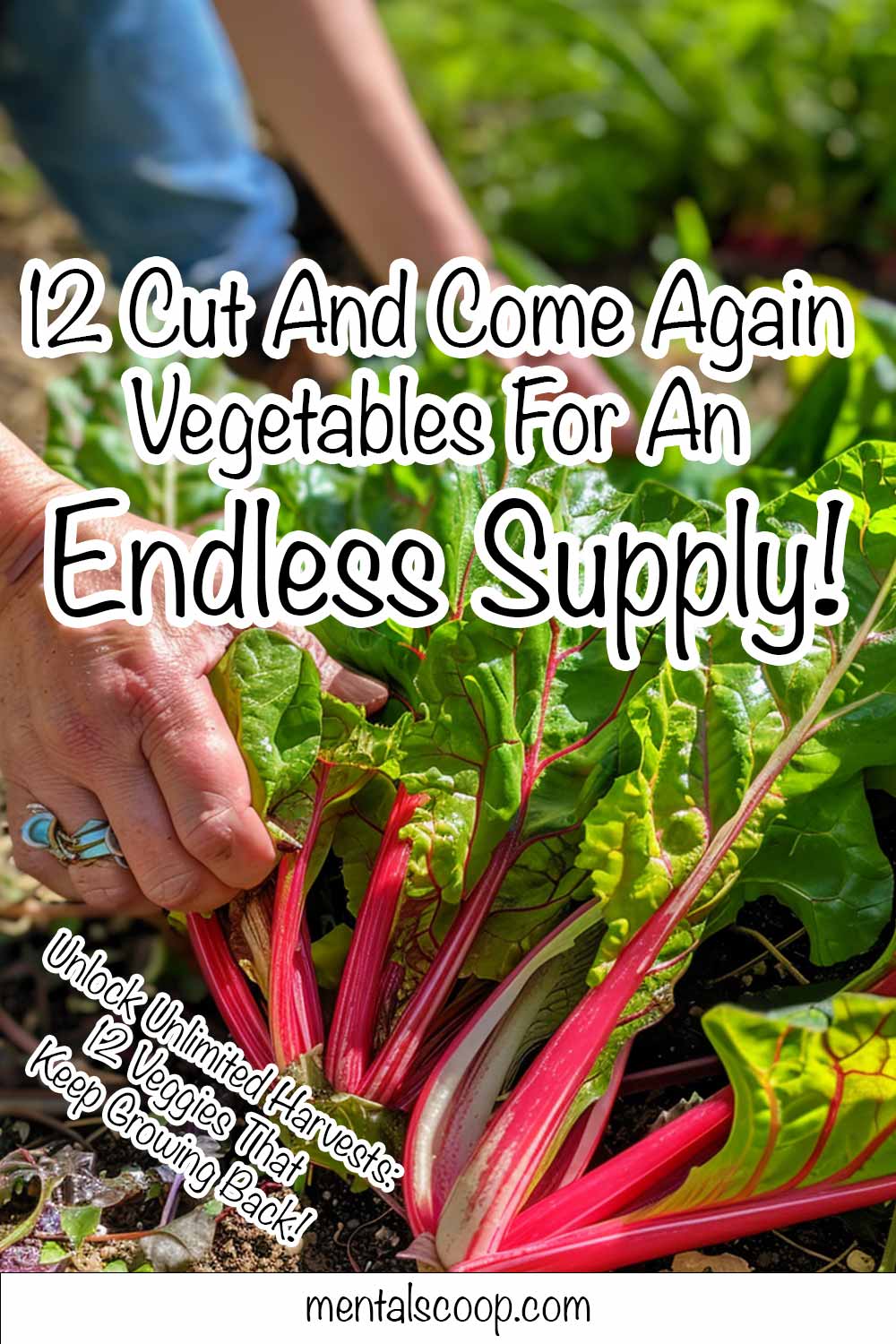 12 Cut And Come Again Vegetables For An Endless Supply! - Mental Scoop