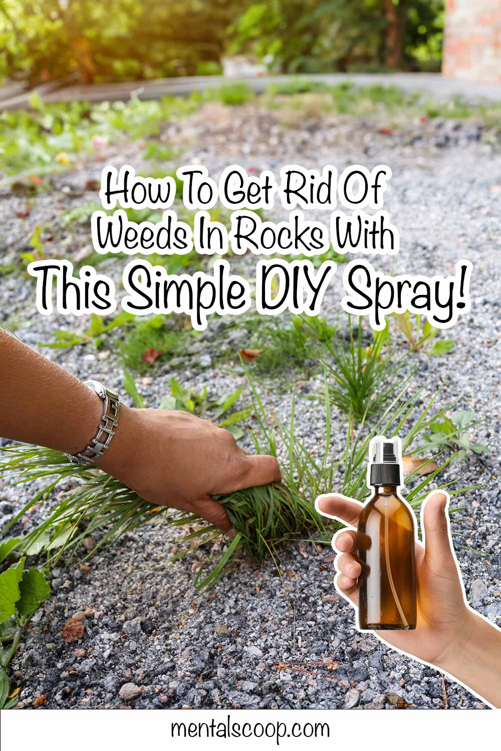 How To Get Rid Of Weeds In Rocks With This Simple DIY Spray! - Mental Scoop