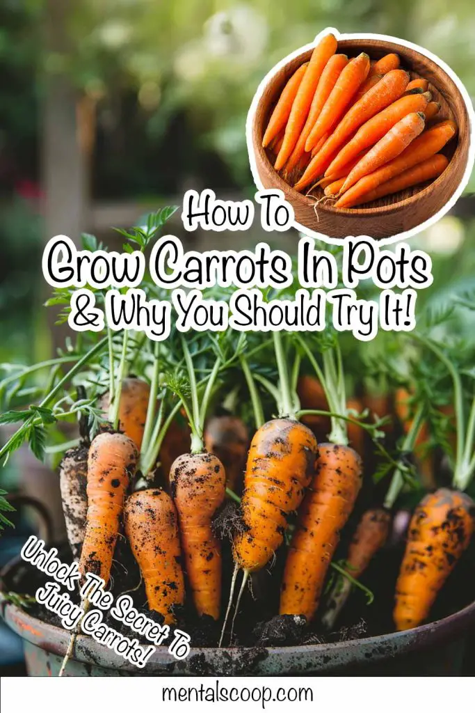 How To Grow Carrots In Pots & Why You Should Try It! - Mental Scoop
