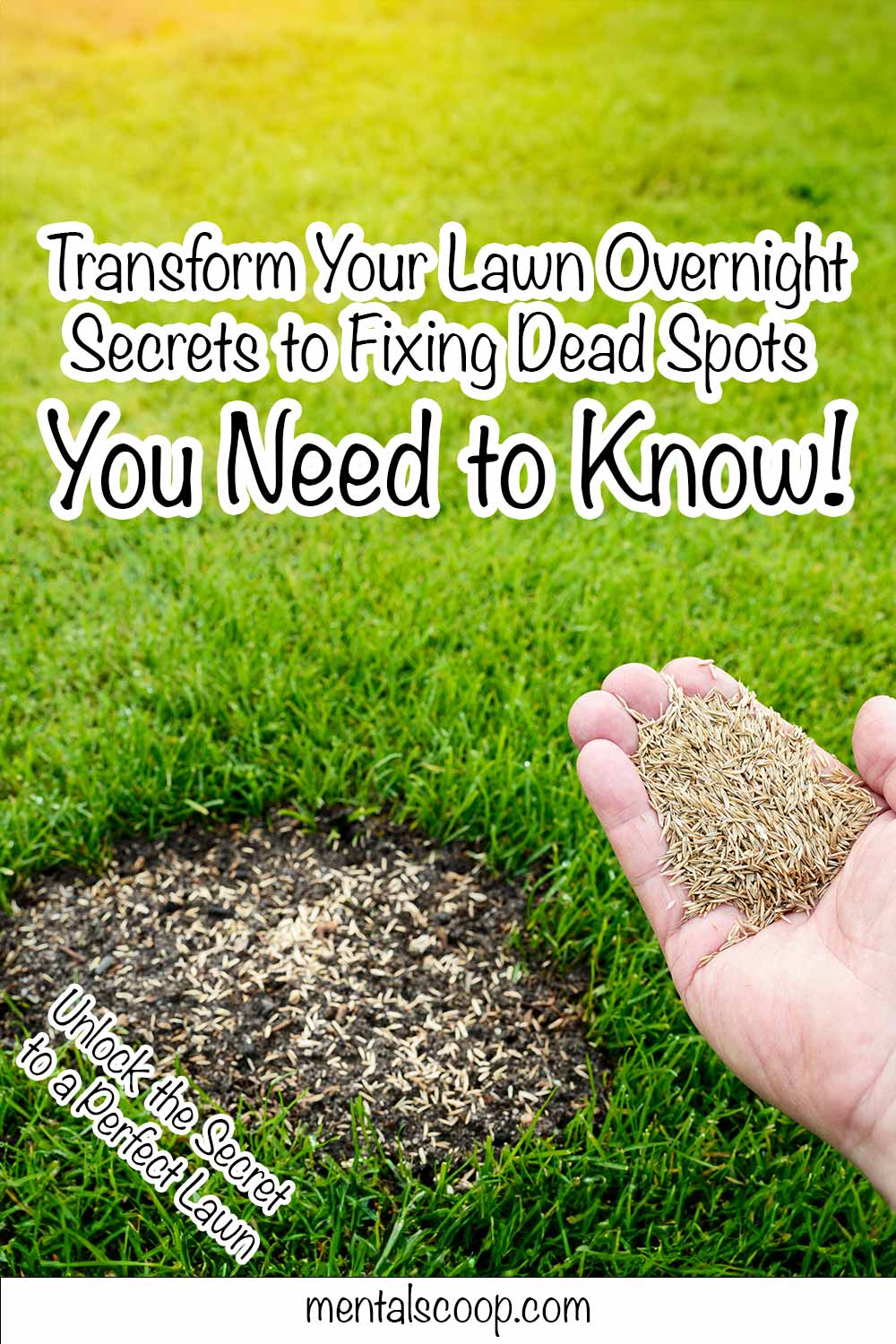 Transform Your Lawn Overnight: Secrets to Fixing Dead Spots You Need to ...