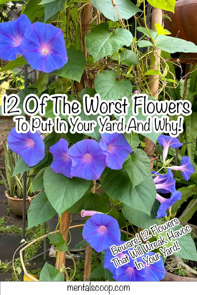12 Of The Worst Flowers To Put In Your Yard And Why! - Mental Scoop