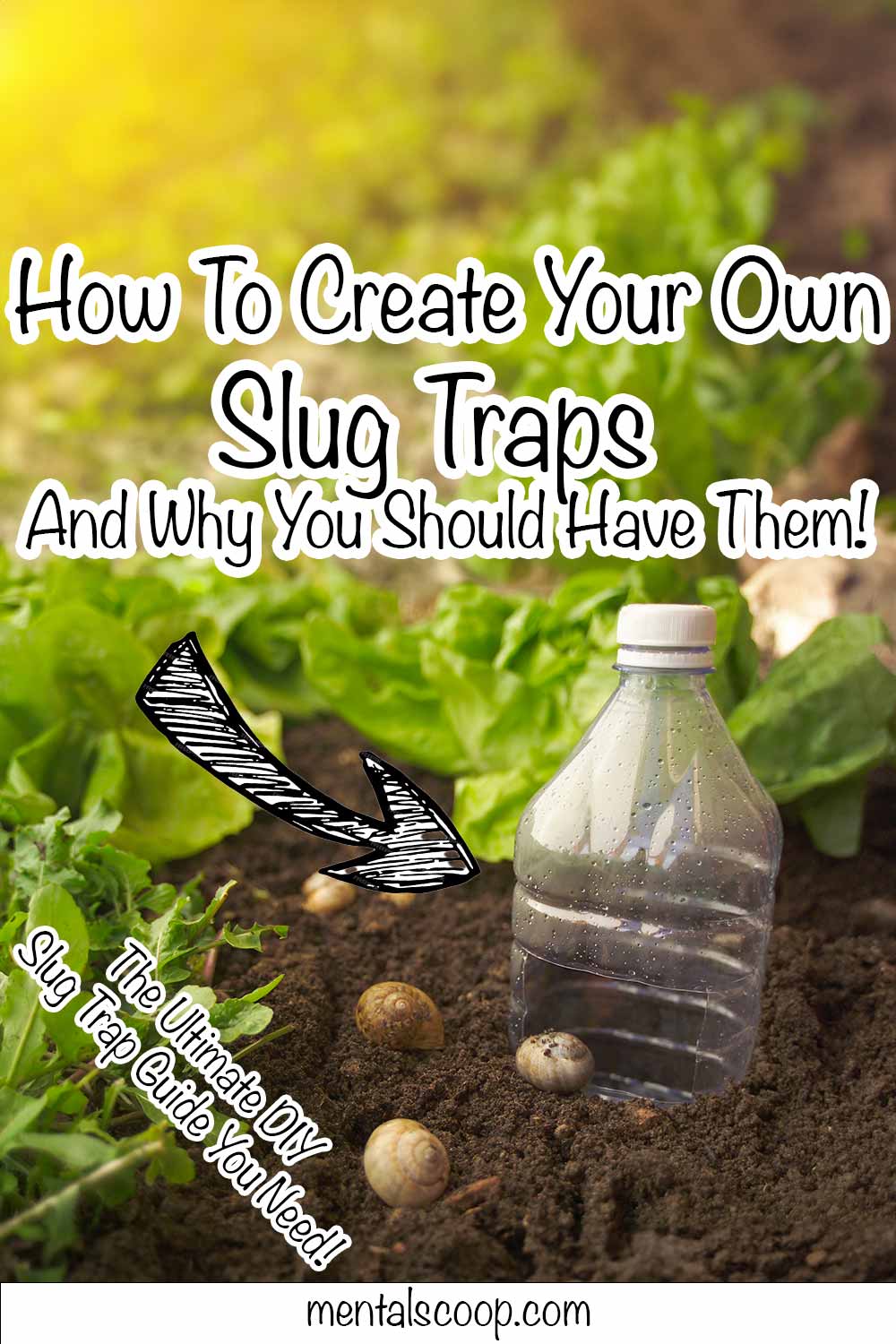 How-To-Create-Your-Own-Slug-Traps-And-Why-You-Should-Have-Them - Mental ...
