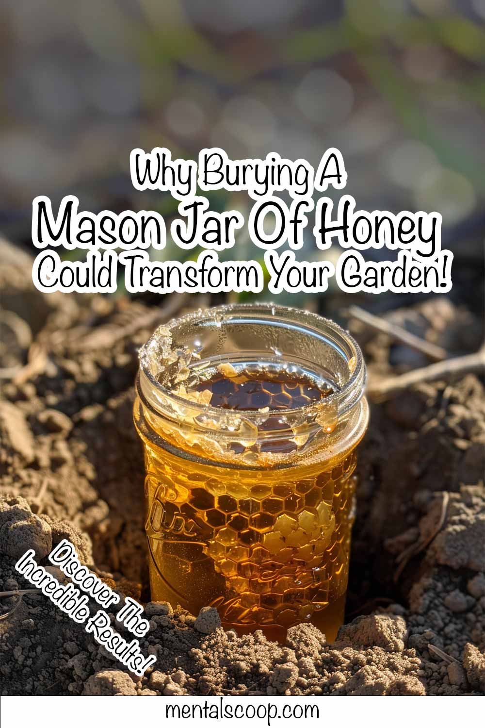 Why Burying A Mason Jar Of Honey Could Transform Your Garden! - Mental ...