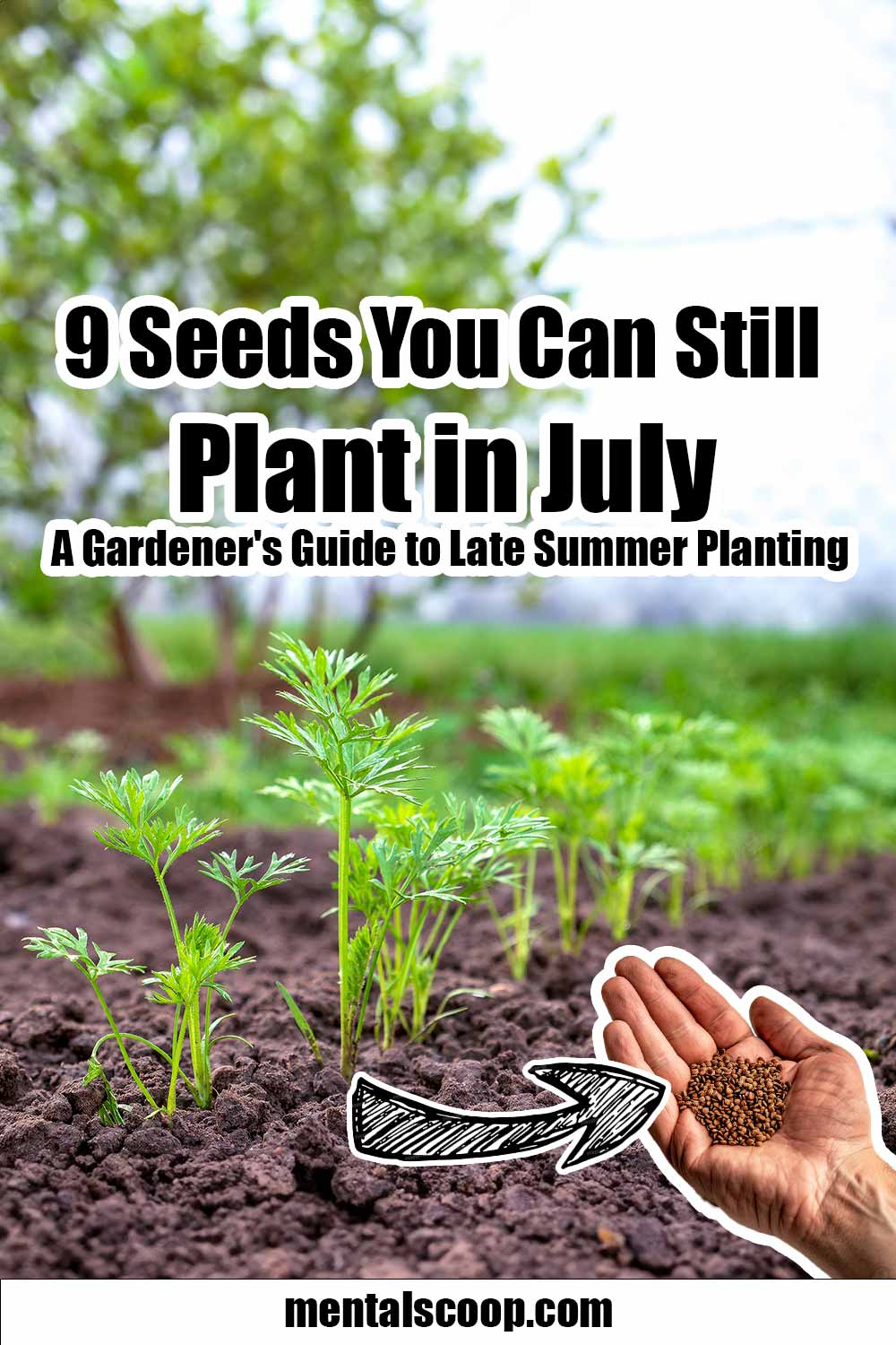 9 Seeds You Can Still Plant in July: A Gardener's Guide to Late Summer ...
