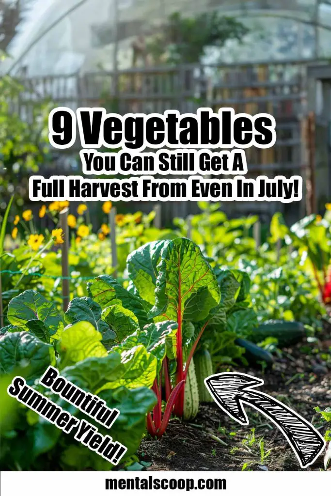 9 Vegetables You Can Still Get A Full Harvest From Even In July ...