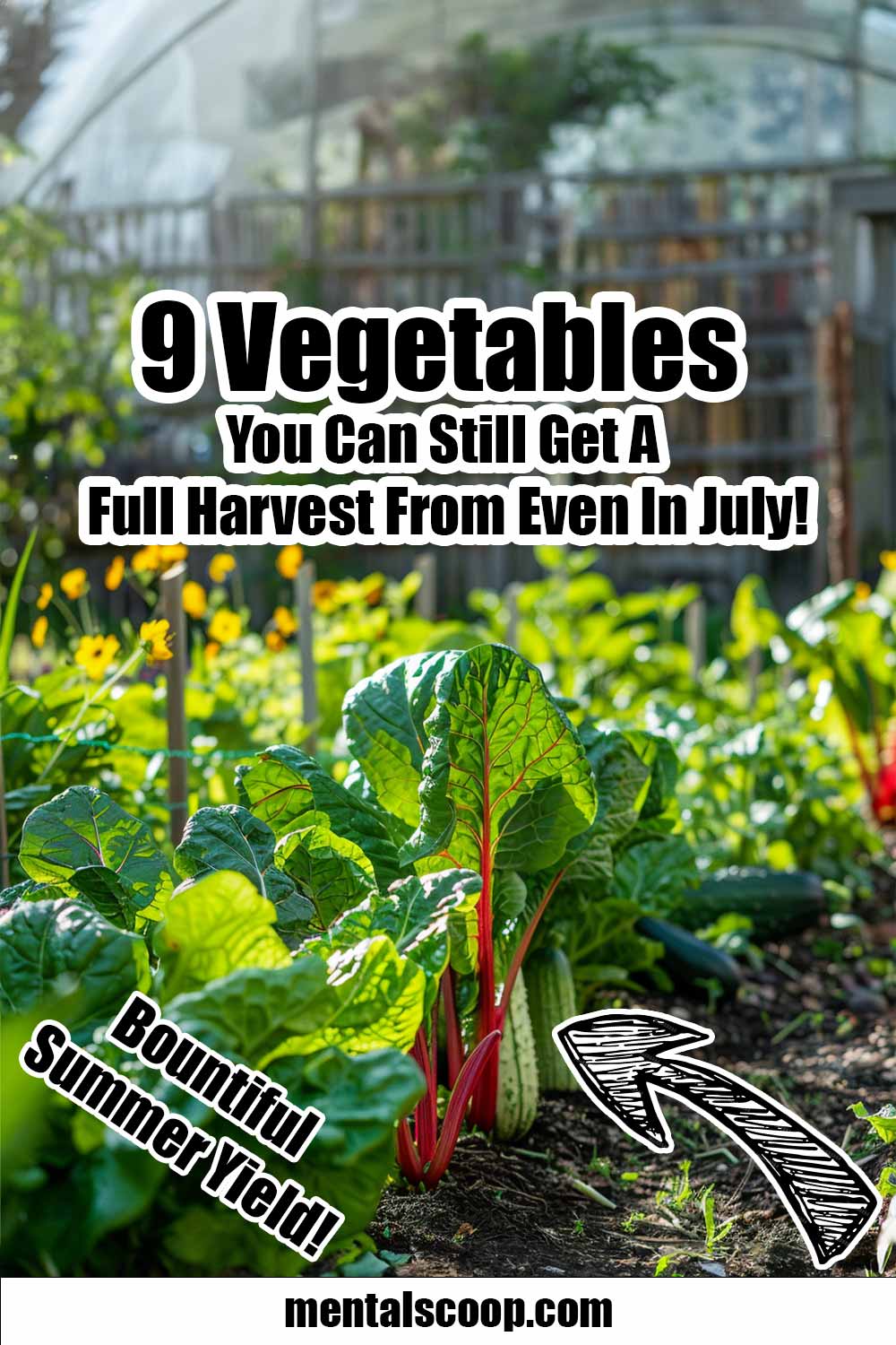 9 Vegetables You Can Still Get A Full Harvest From Even In July ...