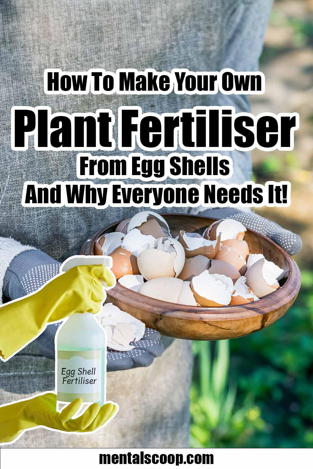 How To Make Your Own Plant Fertiliser From Egg Shells And Why Everyone ...