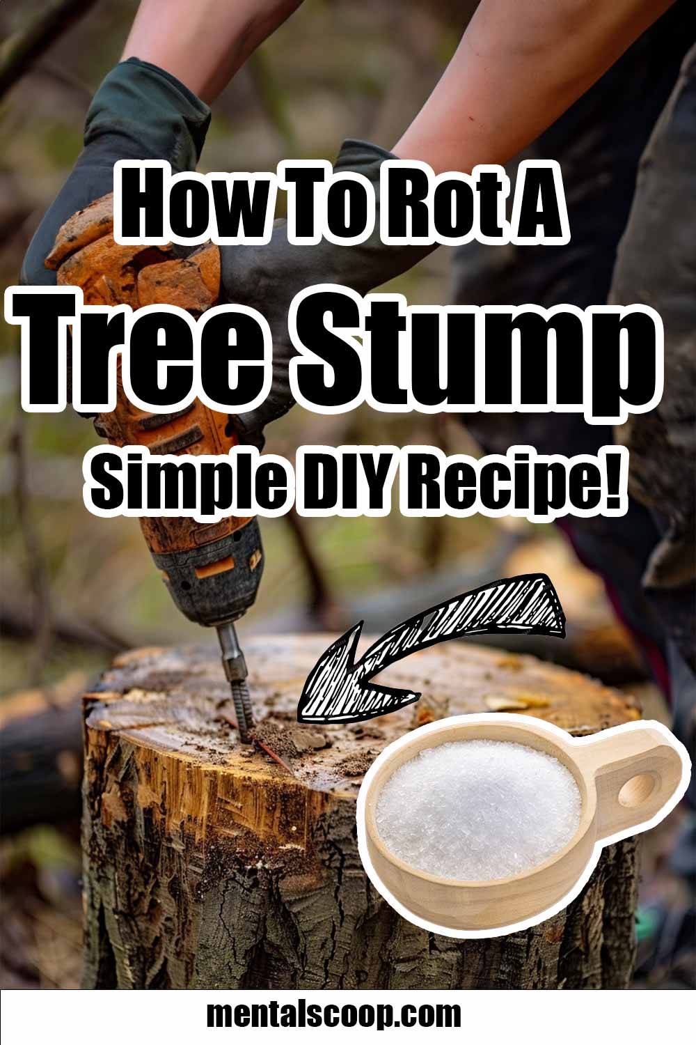 How To Rot A Tree Stump - DIY Recipe! - Mental Scoop