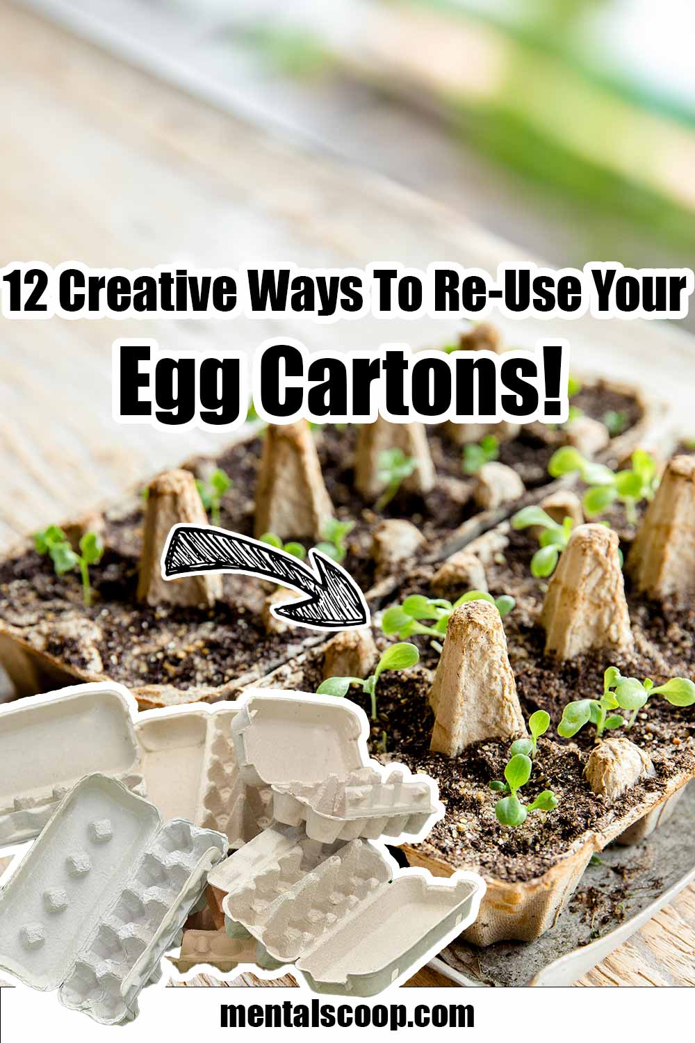 12 Creative Ways To Re-Use Your Egg Cartons! - Mental Scoop