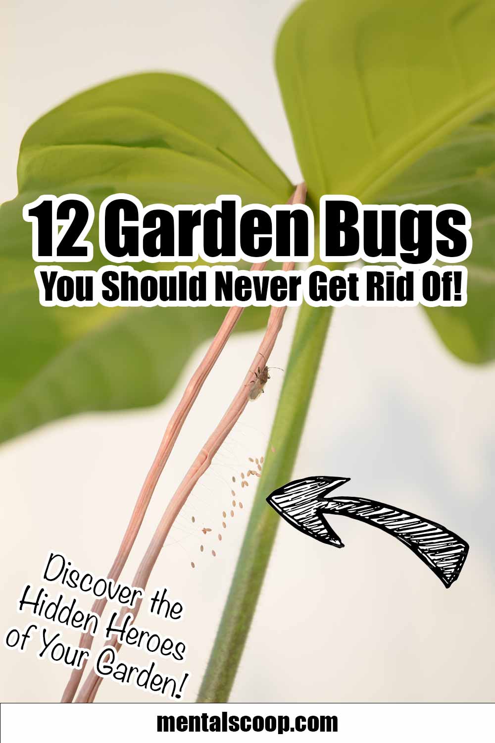 12 Garden Bugs You Should Never Get Rid Of! - Mental Scoop