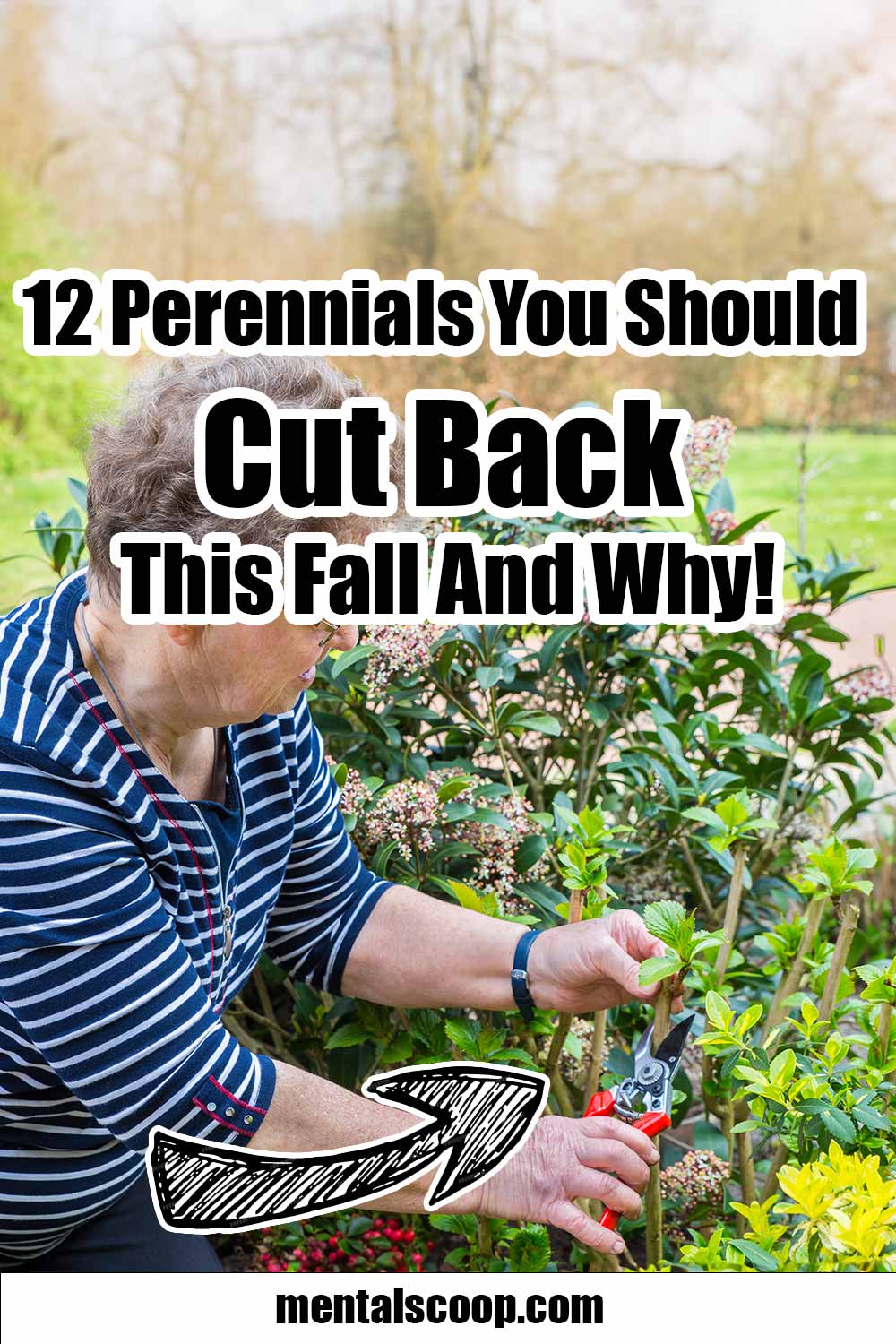 12 Perennials You Should Cut Back This Fall And Why! - Mental Scoop