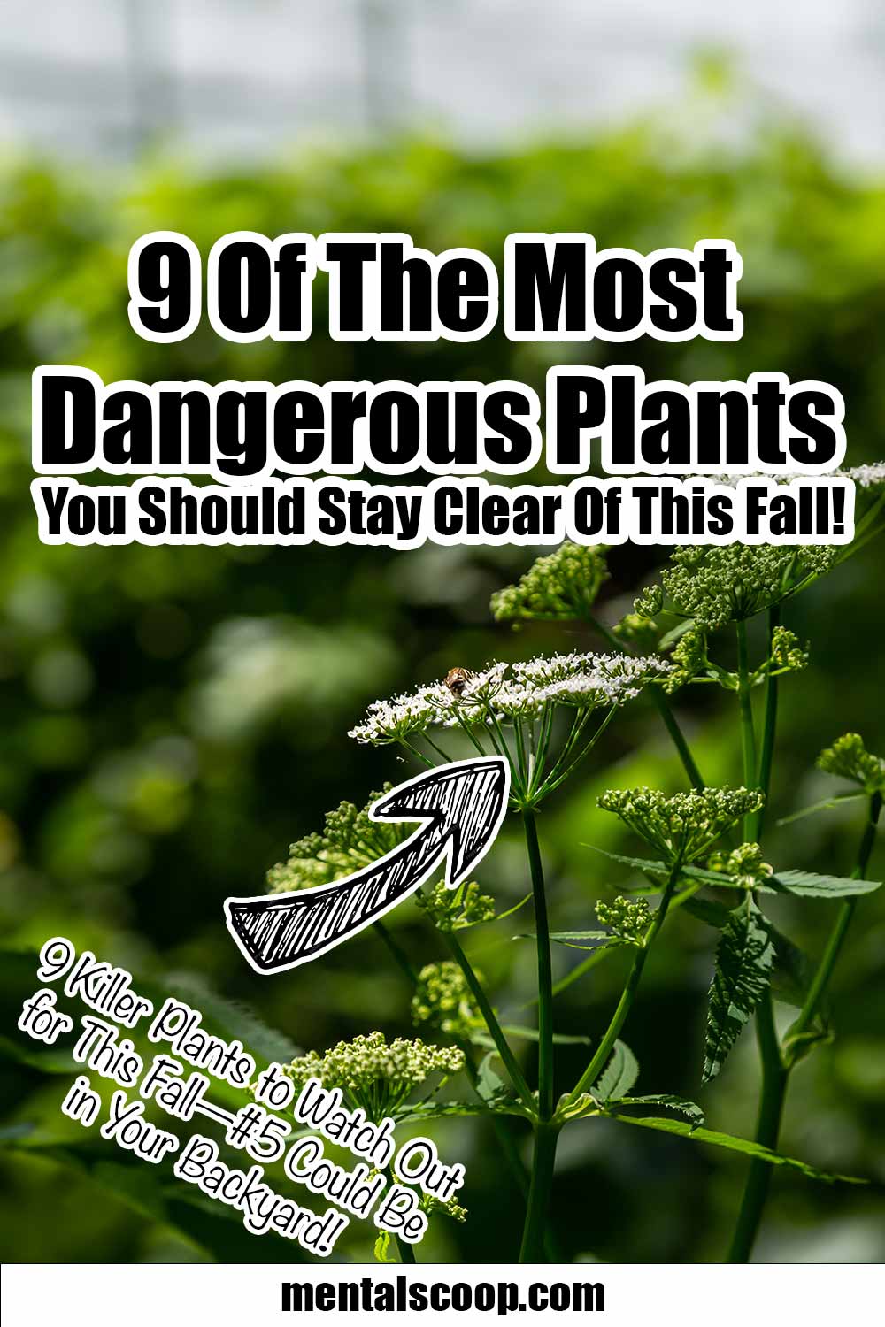 9 Of The Most Dangerous Plants You Should Stay Clear Of This Fall ...