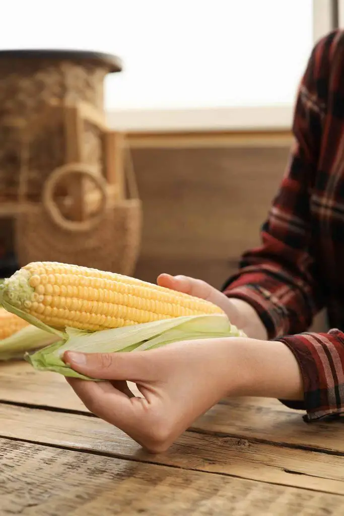 How to Shuck and Cook Corn Like a Pro! - Mental Scoop