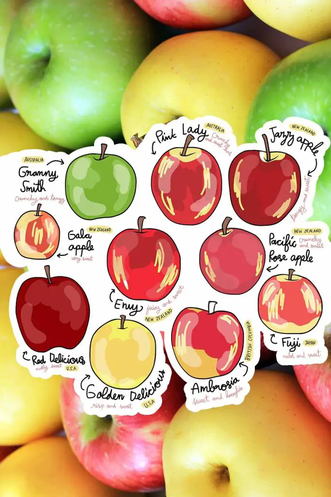 Make Sure You Always Pick The Right Apple For Your Recipes! - Mental Scoop