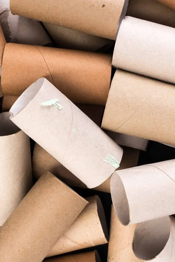 Now Is The Perfect Time To Start Saving Your Toilet Tissue Rolls For ...