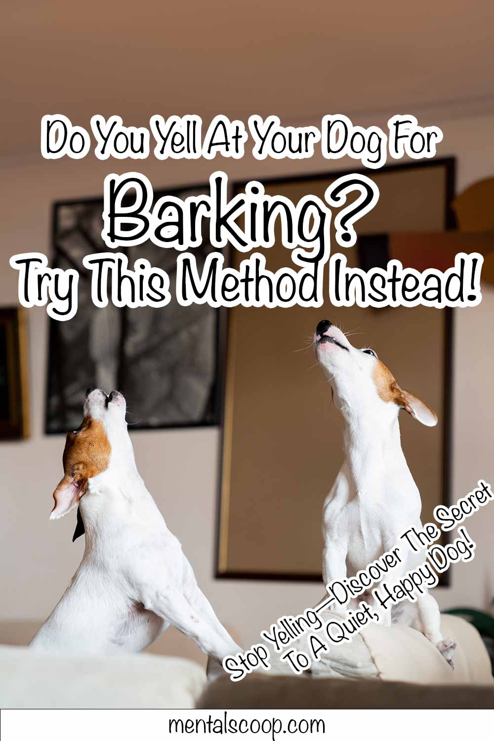 Do You Yell At Your Dog For Barking? Try This Method Instead! - Mental ...