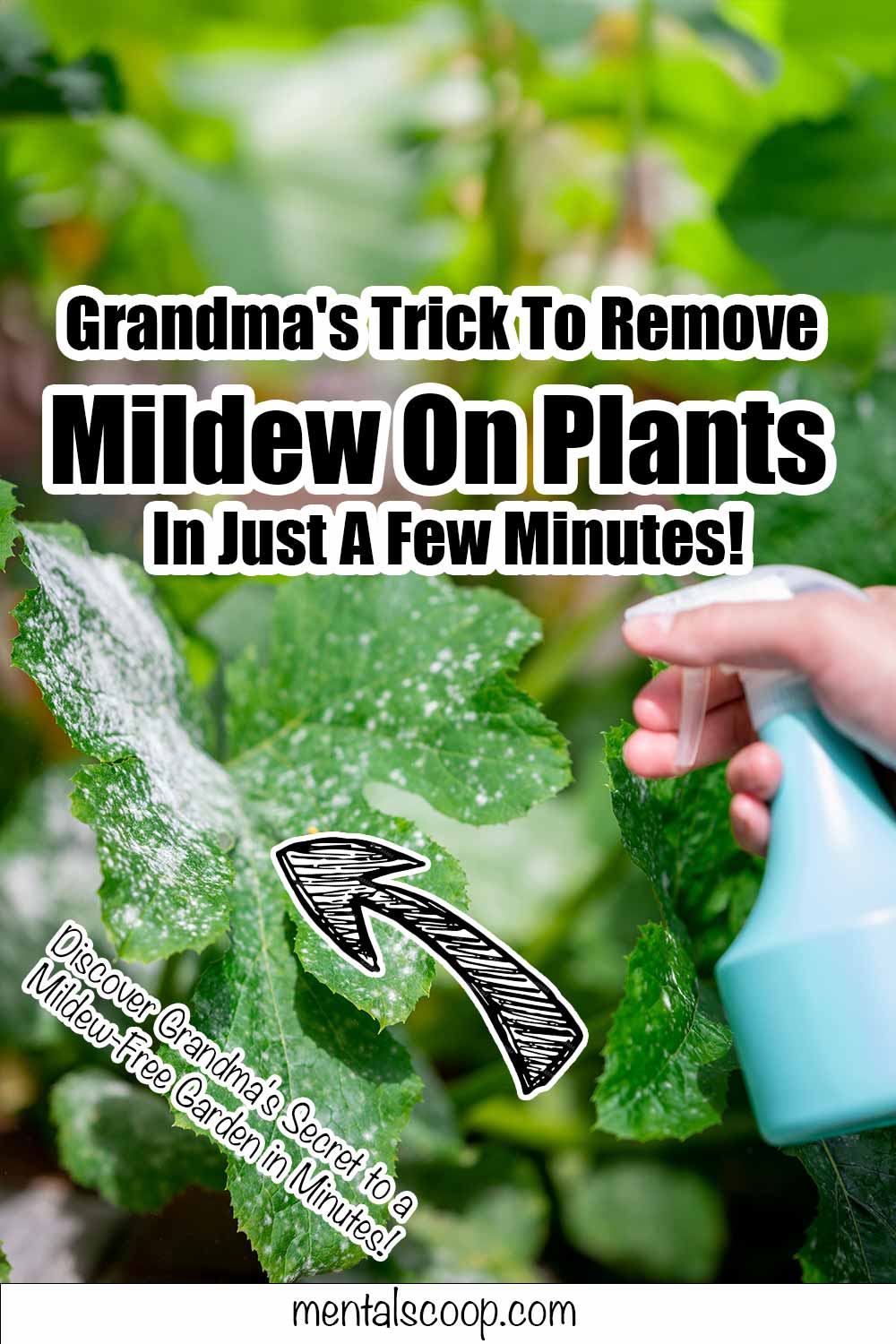 Grandma's Trick To Remove Mildew On Plants In Just A Few Minutes ...