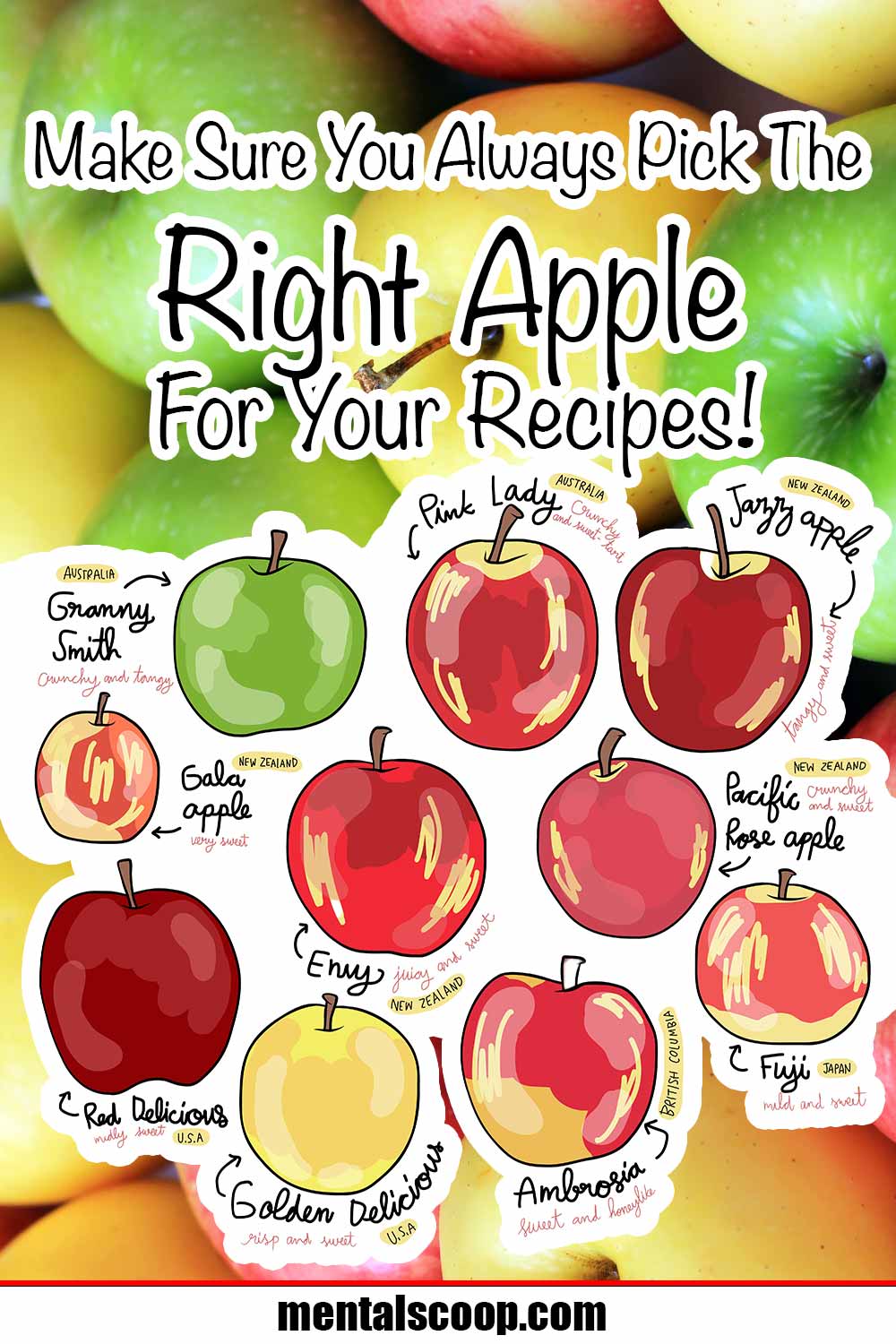 Make Sure You Always Pick The Right Apple For Your Recipes! - Mental Scoop