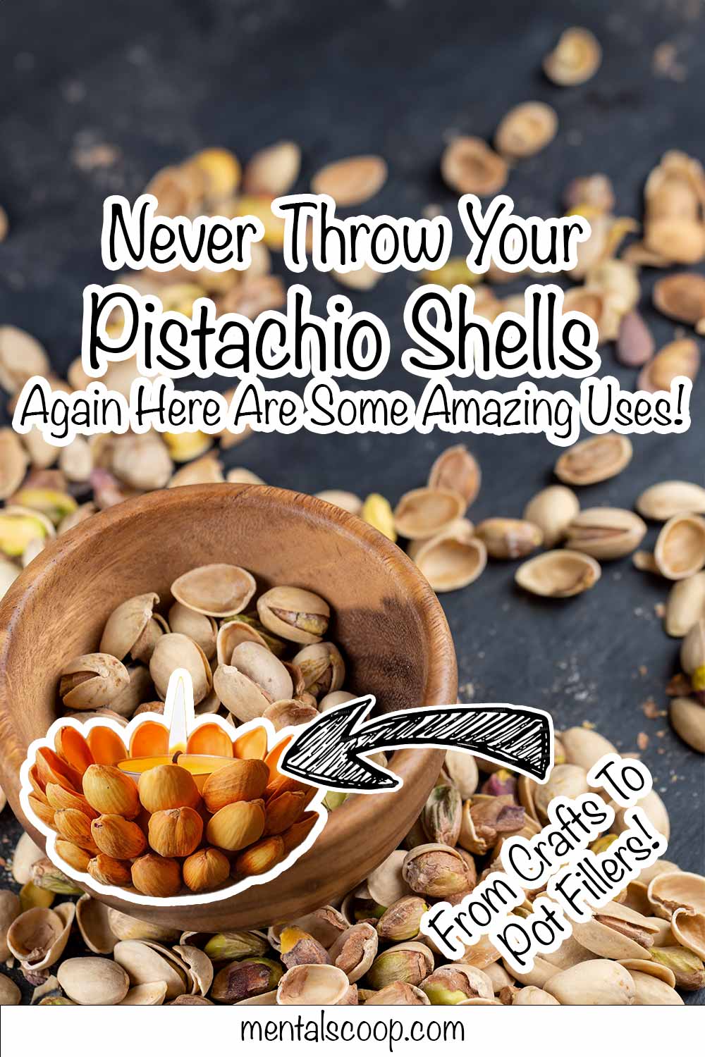 Never Throw Your Pistachio Shells Again, Here Are Some Amazing Uses ...