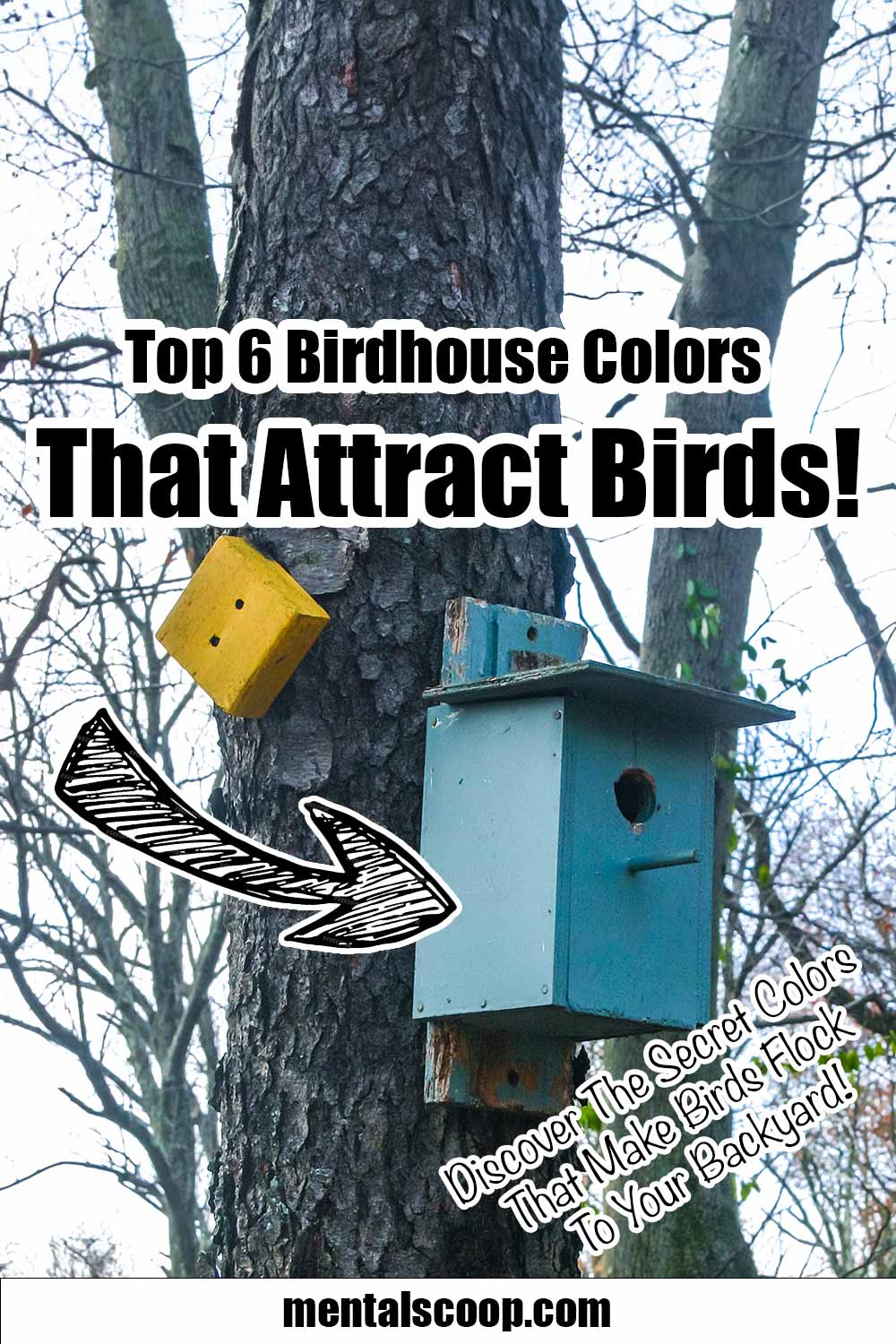 Top 6 Birdhouse Colors That Attract Birds! - Mental Scoop