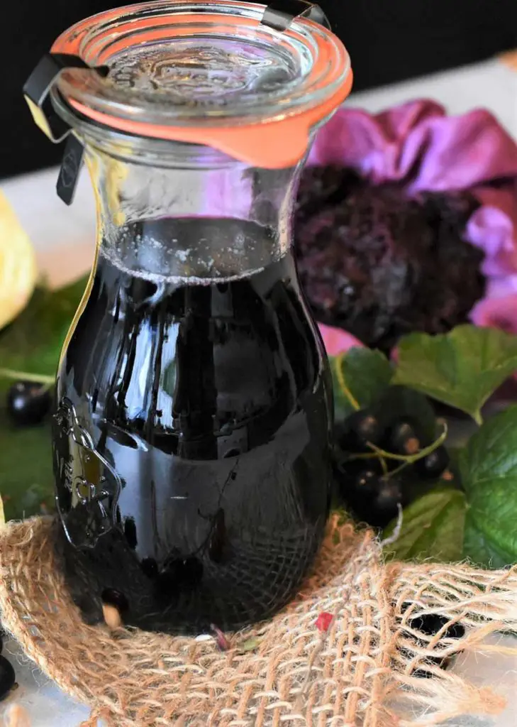 Harvesting Elderberries Made Easy + 9 Recipes For Every Occasion ...