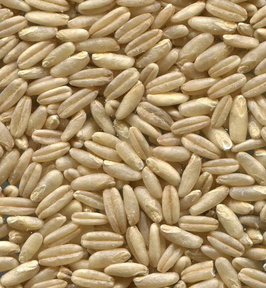 9 Dangerous Food You Should Never Cook In Your Air Fryer! - Mental Scoop