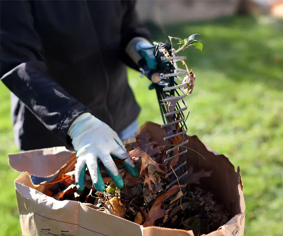 How To Quickly Turn Your Fall Leaves Into Compost! - Mental Scoop